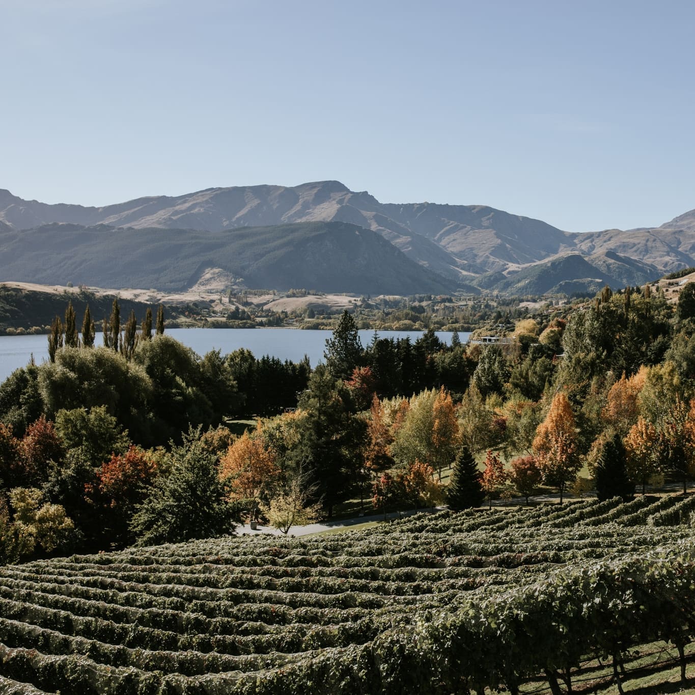 Our Location | Stoneridge Estate