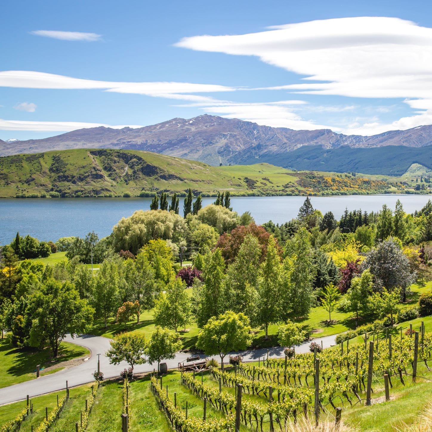 Our Location | Stoneridge Estate