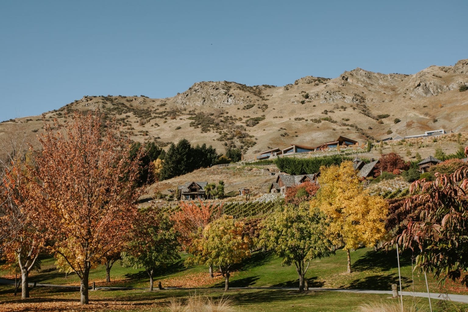 Explore Stoneridge | Stoneridge Estate